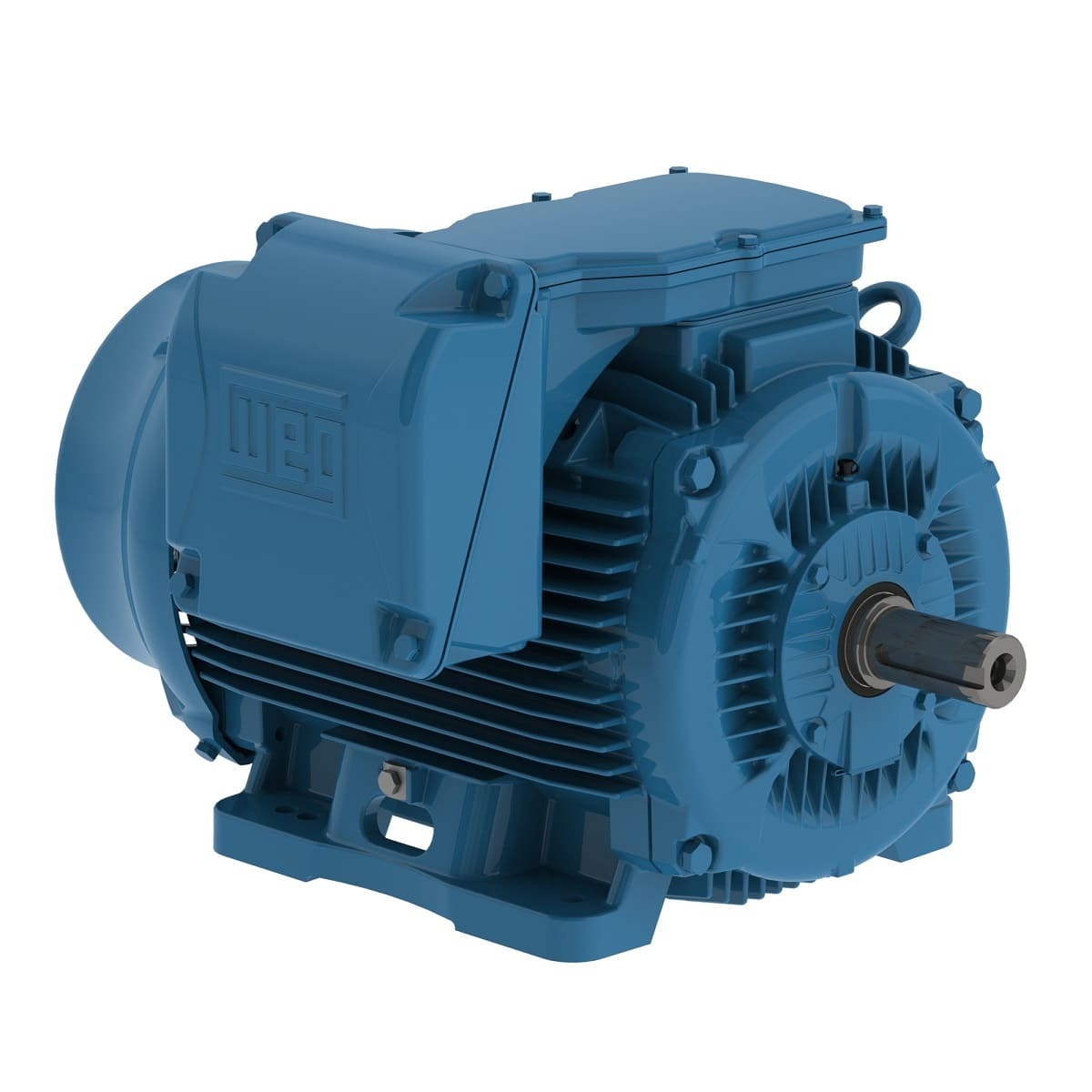 Motor Trifasico Linha W22 Plus – Grupo Ajel